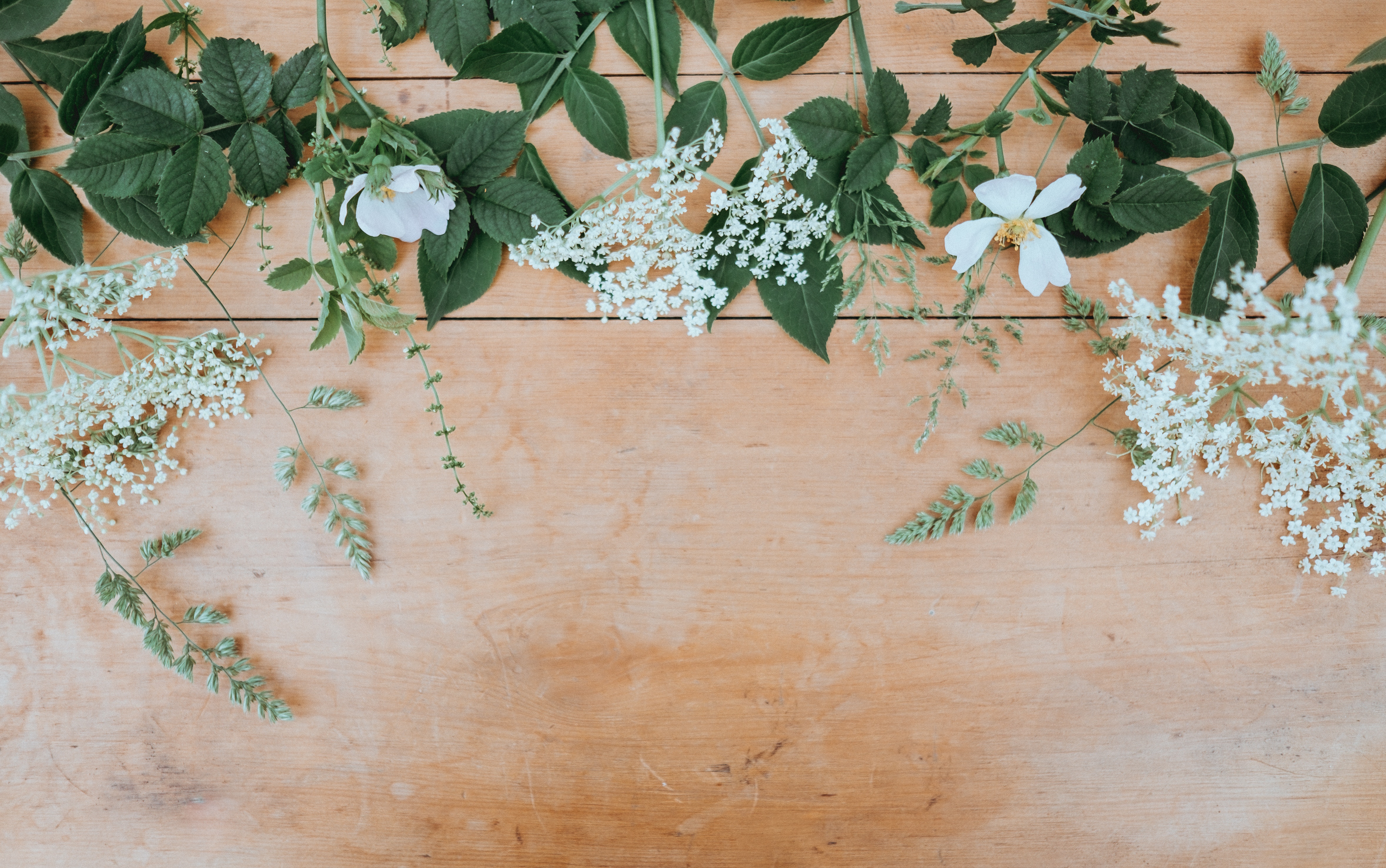 white flowers header – Shaen Layle